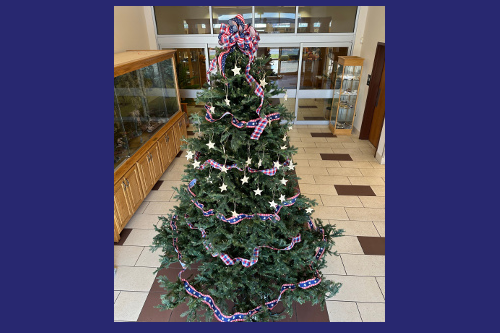Inaugural veterans tree a success at the library | Red River Parish Journal